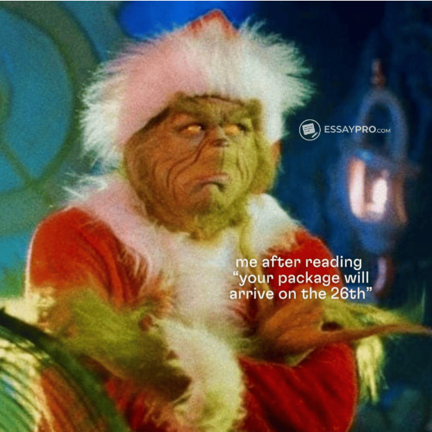 Christmas Memes 2024 by EssayPro: A Holiday Laugh Fest - Vertical Wise