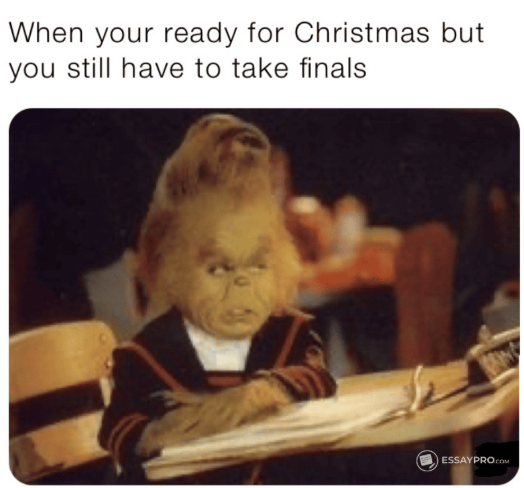 Christmas Memes 2024 by EssayPro: A Holiday Laugh Fest - Vertical Wise