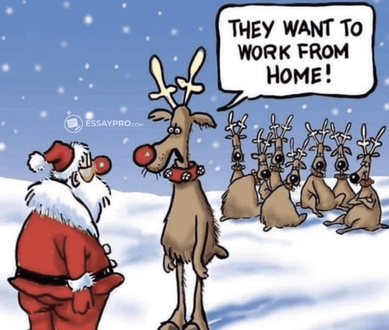 Christmas Memes 2024 by EssayPro: A Holiday Laugh Fest - Vertical Wise