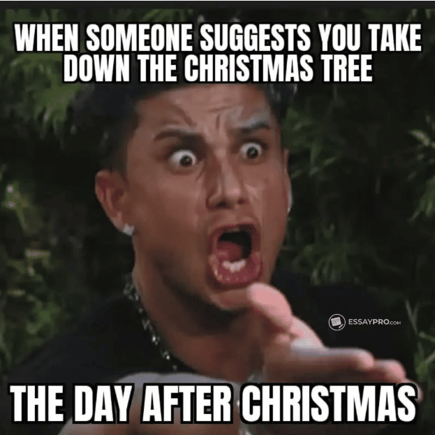 Christmas Memes 2024 by EssayPro: A Holiday Laugh Fest - Vertical Wise